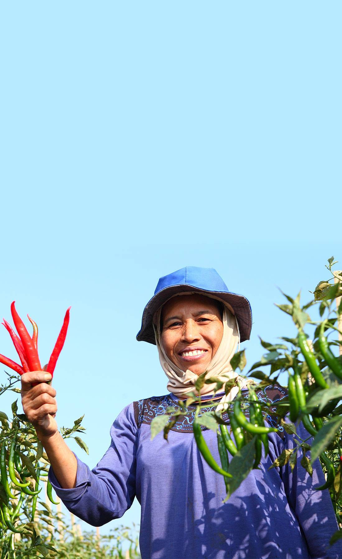 Certifications - Grand Royal Spices